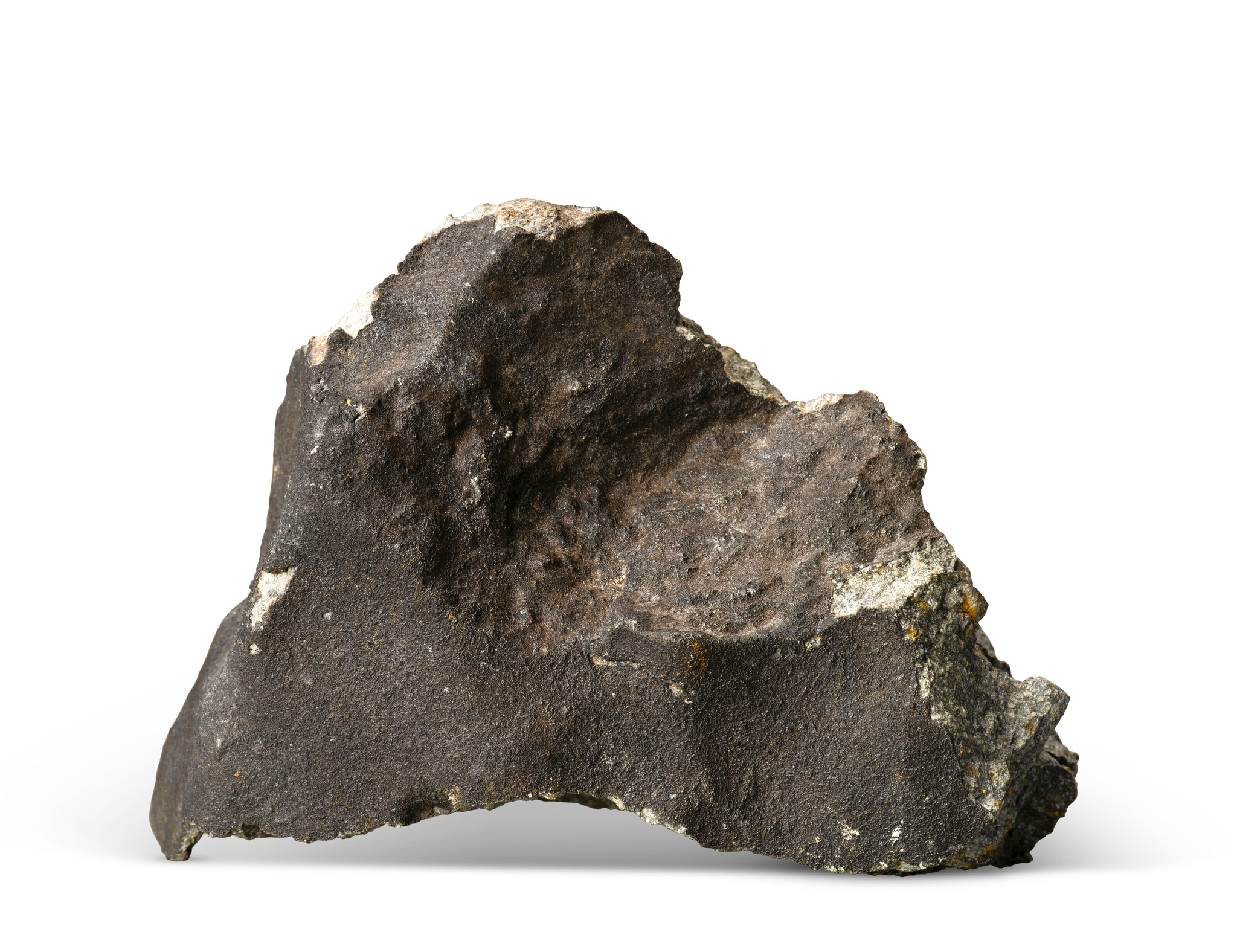 Chondrites