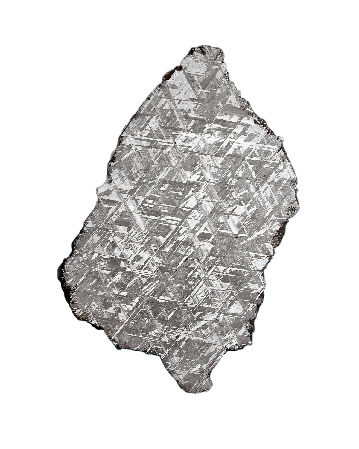 Muonionalusta Meteorite, Sweden