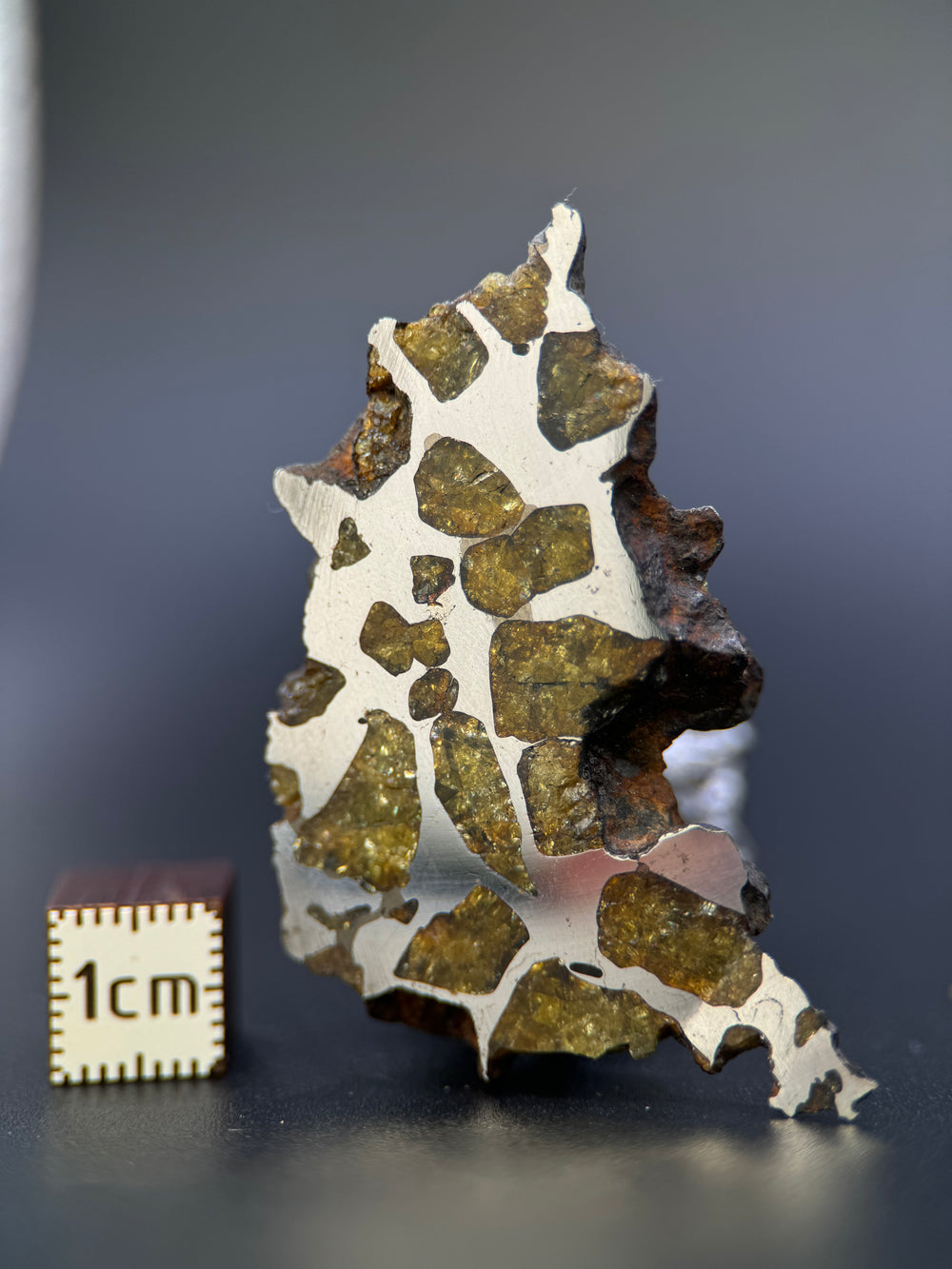 IMILAC PALLASITE METEORITE, END CUT, CHILE. 25,36 GRAMS.