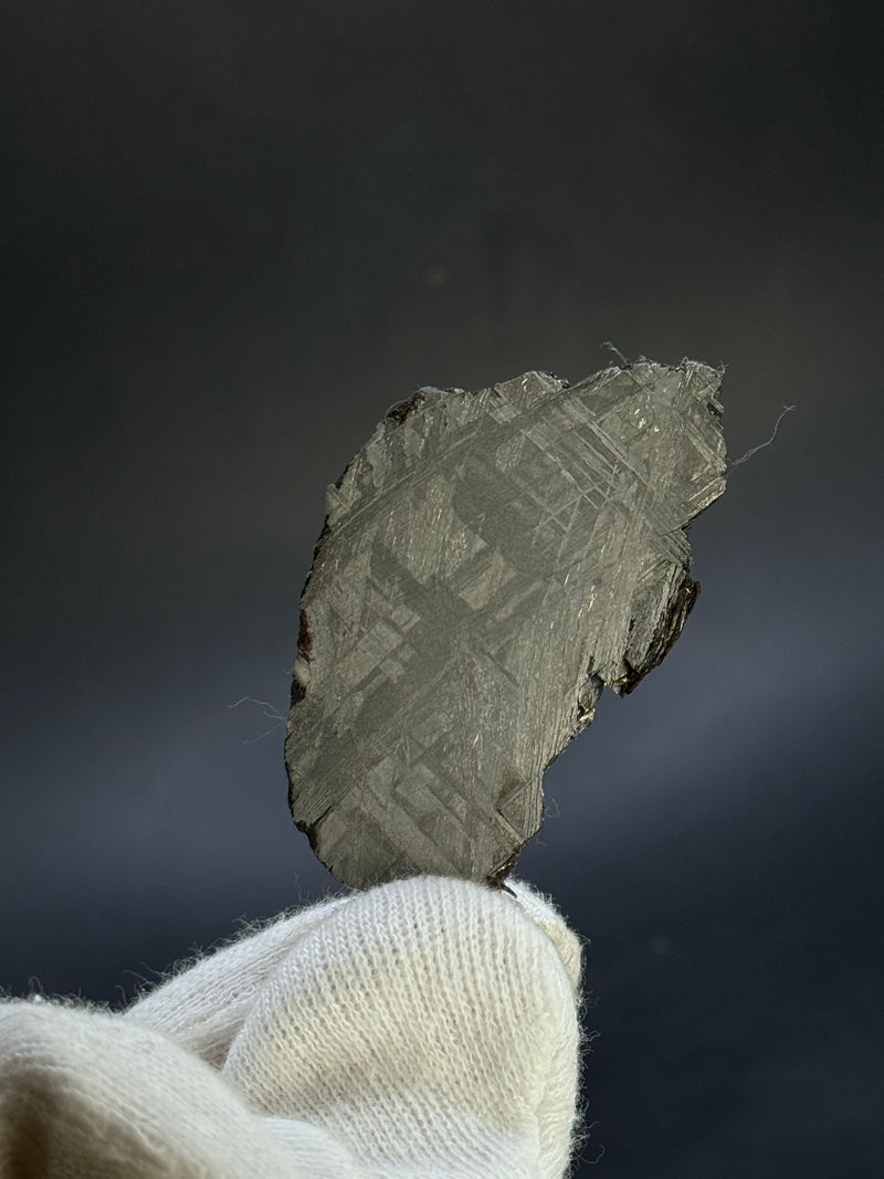 Muonionalusta meteorite, Sweden. 26,9 grams.