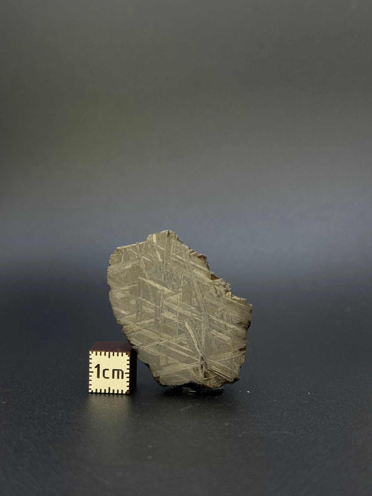 MUONIONALUSTA METEORITE, SWEDEN. 82,64 GRAMS END-CUT.