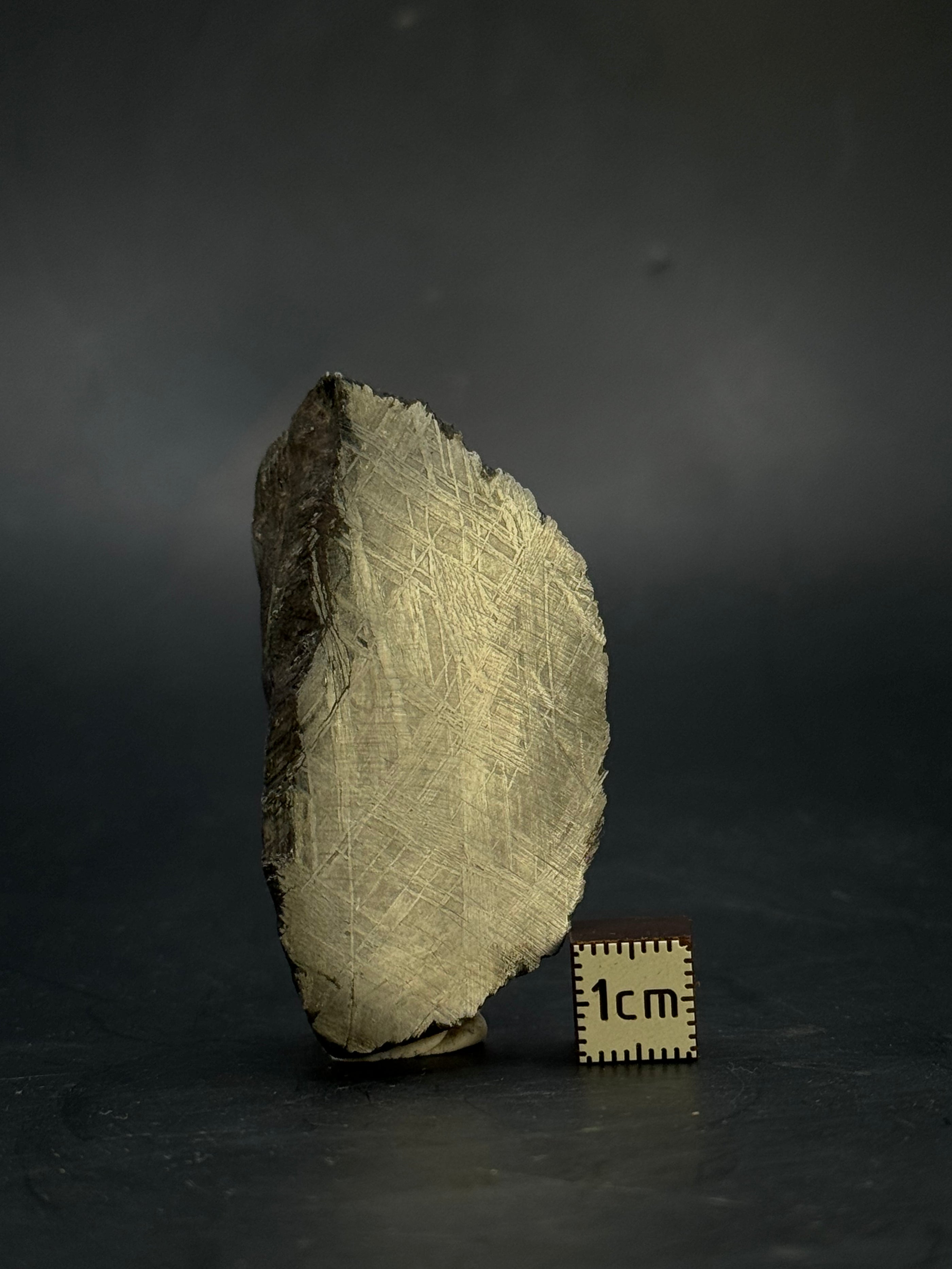 MUONIONALUSTA METEORITE, SWEDEN. 100,3 GRAMS END-CUT