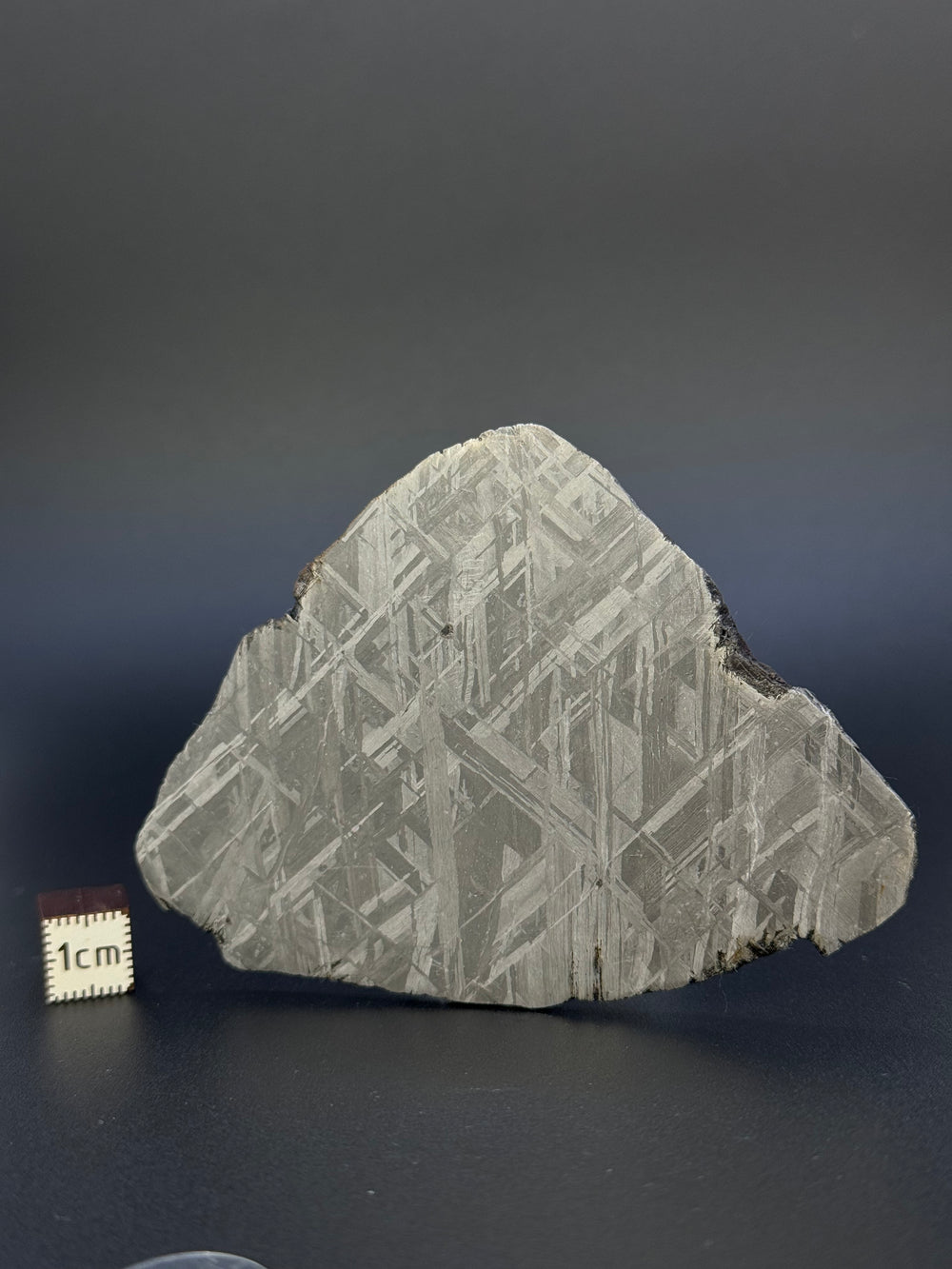 MUONIONALUSTA METEORITE, SWEDEN. 88,32 GRAMS SLICE.