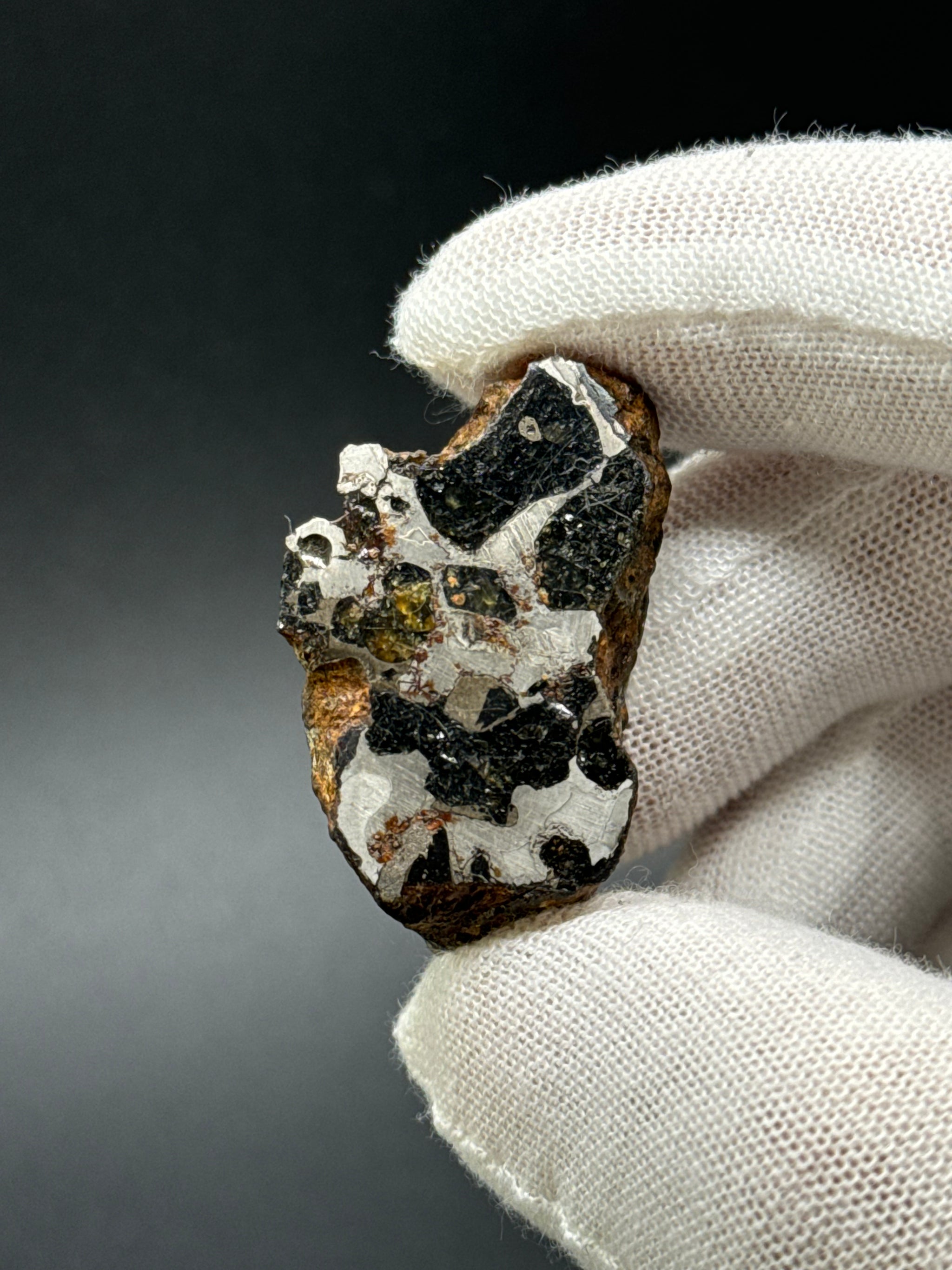 SERICHO PALLASITE METEORITE, KENYA. 31,69 GRAMS END-CUT.