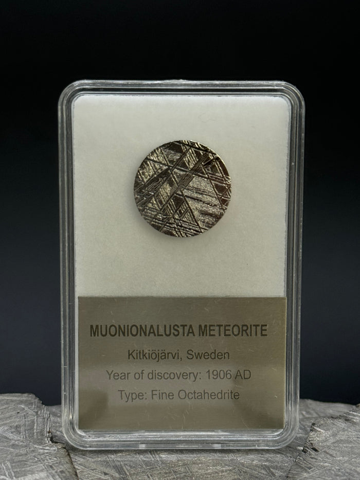 Muonionalusta meteorite, Sweden. Display box. 15mm diameter plate.