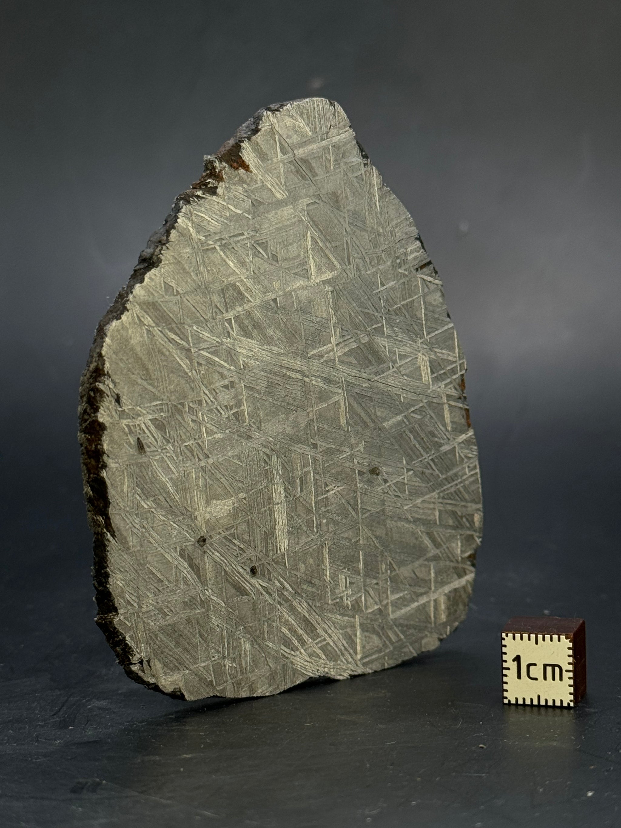 MUONIONALUSTA METEORITE, SWEDEN. 117,13 GRAMS.