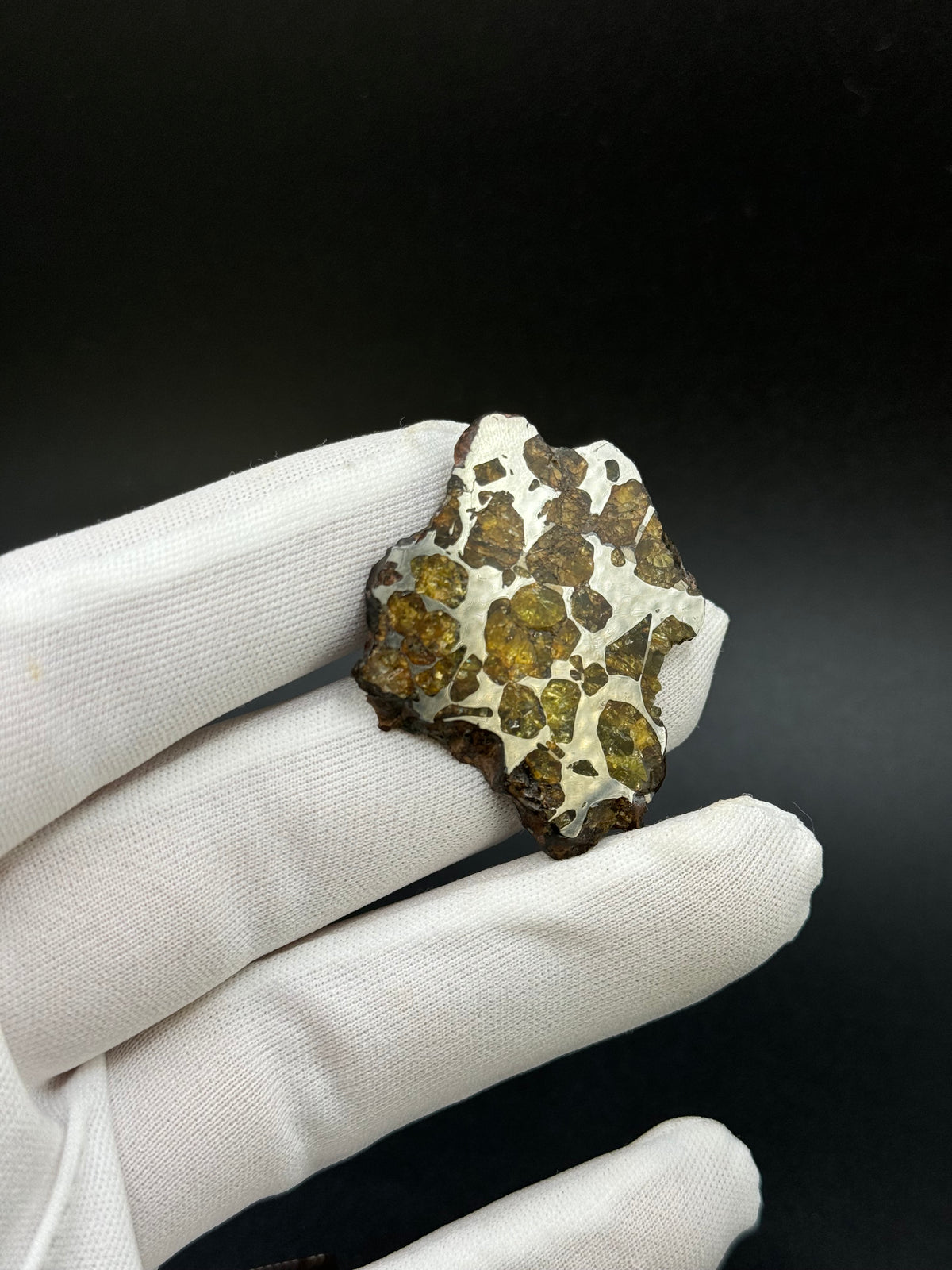 IMILAC PALLASITE METEORITE, CHILE. 15,06 GRAMS slice