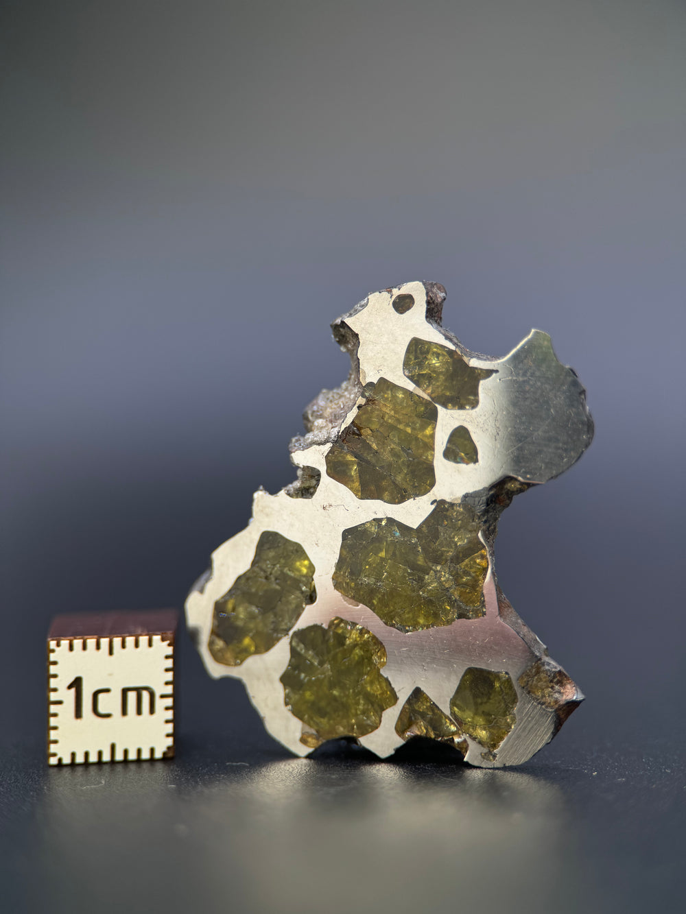 IMILAC PALLASITE METEORITE, CHILE. 12,56 GRAMS SLICE.