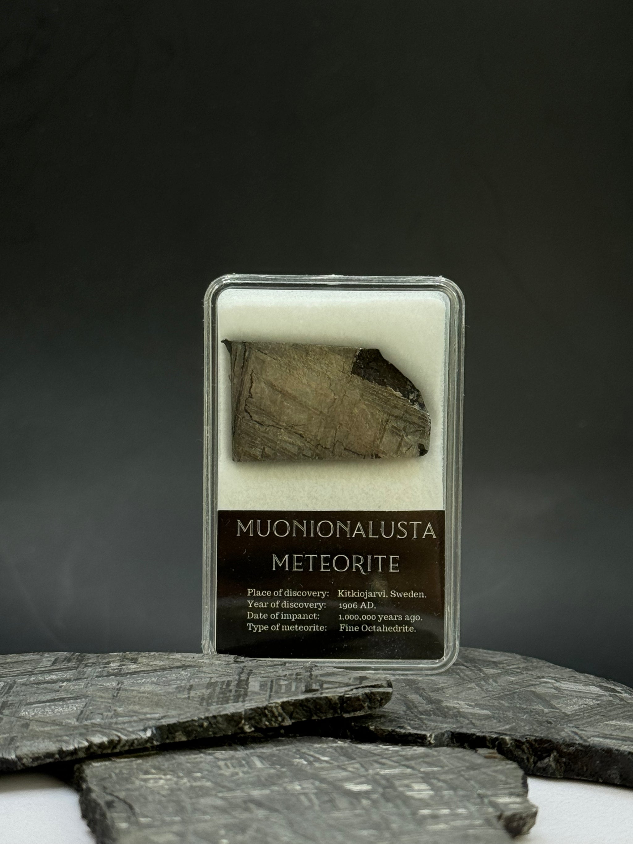Muonionalusta meteorite in display box. 12,42 grams.