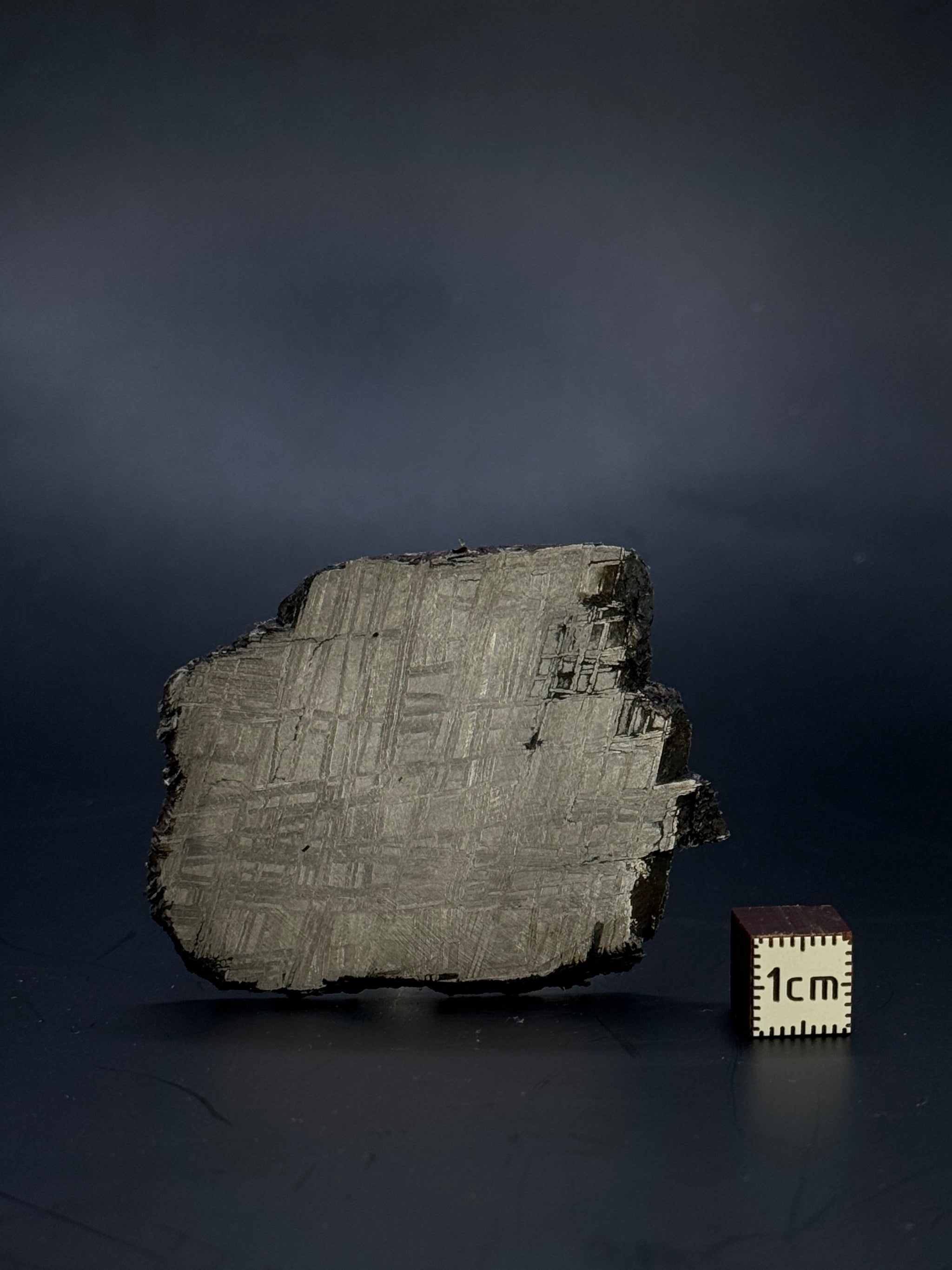 Muonionalusta meteorite, Sweden. 47,20 grams.