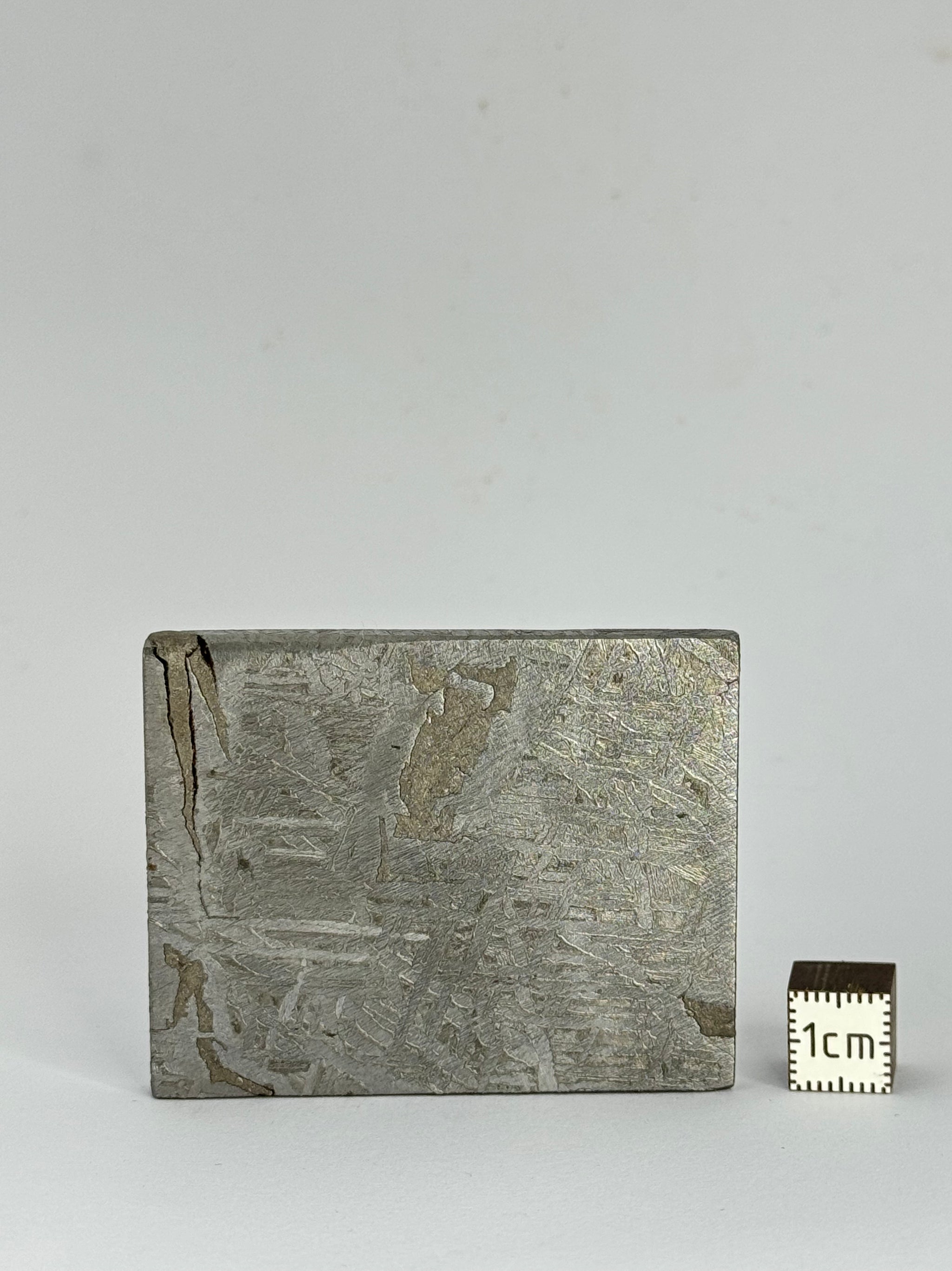 Aletai Meteorite, Gobi Desert, China. 91,86 grams.