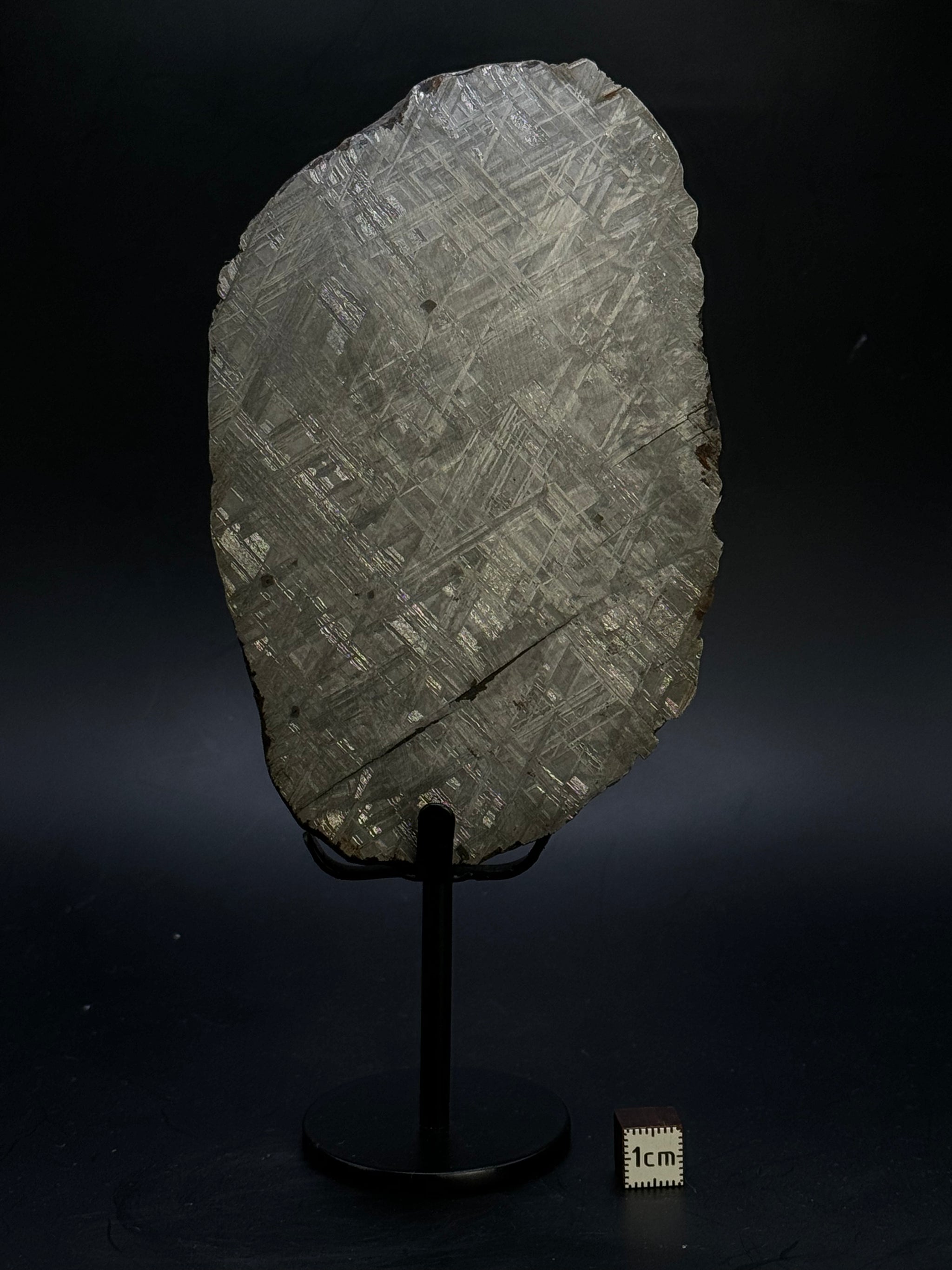 MUONIONALUSTA METEORITE, SWEDEN. 865 GRAMS END-CUT.