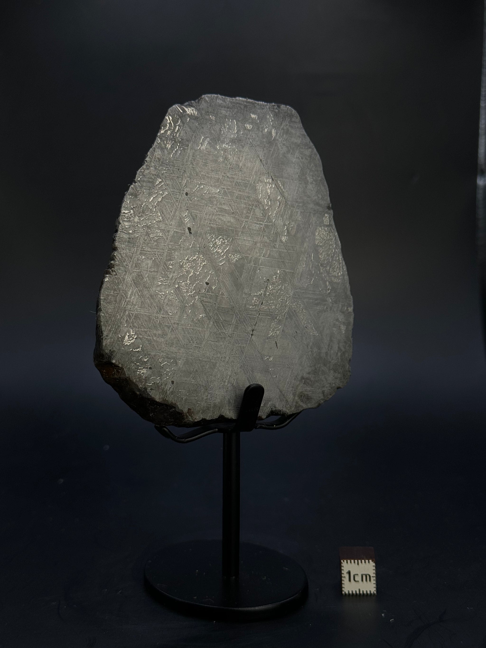 MUONIONALUSTA METEORITE, SWEDEN. 623 GRAMS END-CUT