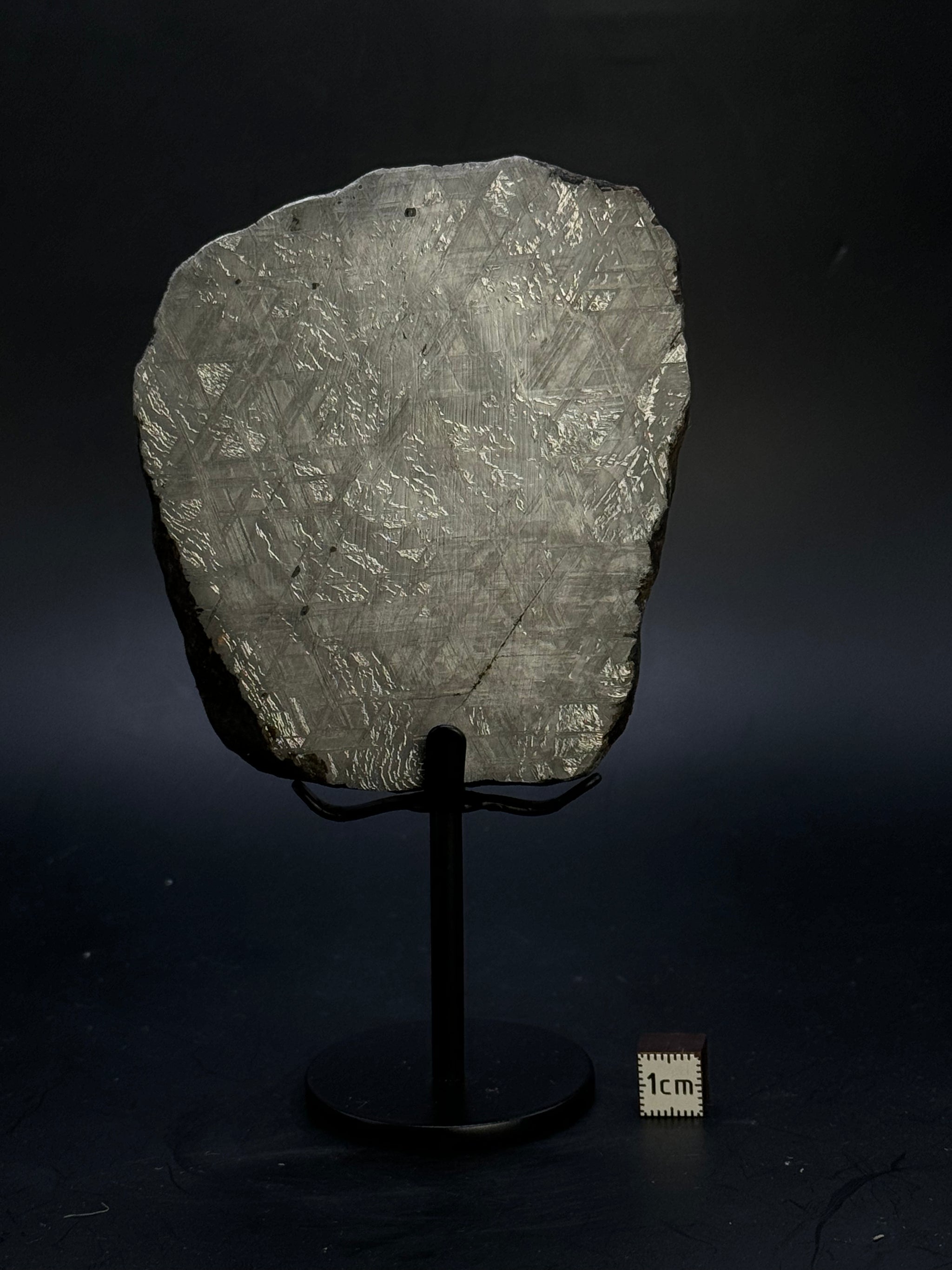 MUONIONALUSTA METEORITE, SWEDEN. 684 GRAMS END-CUT.