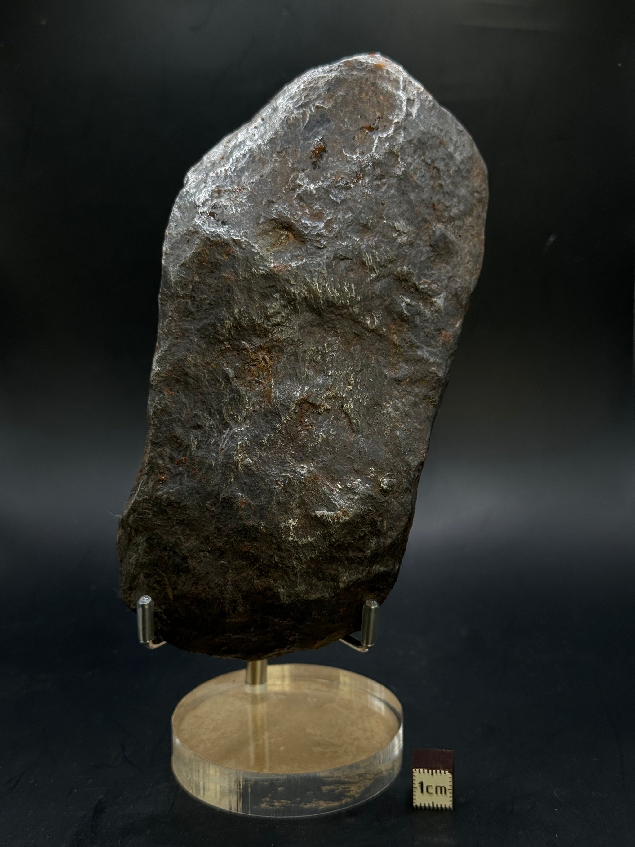 MUONIONALUSTA METEORITE, SWEDEN. FULL METEORITE 1778 GRAMS.