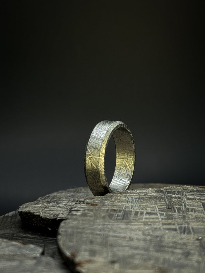 Meteorite Rings